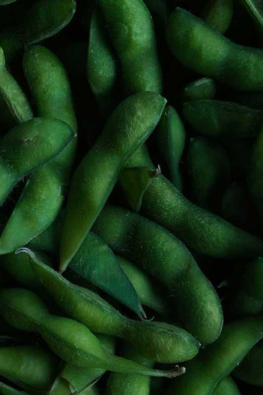 Edamame aus der Steiermark